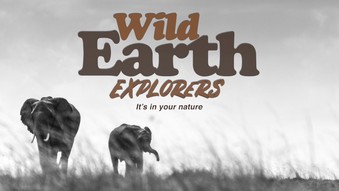 Namibia’s partnership with WildEarth a boost for wildlife live stream ...